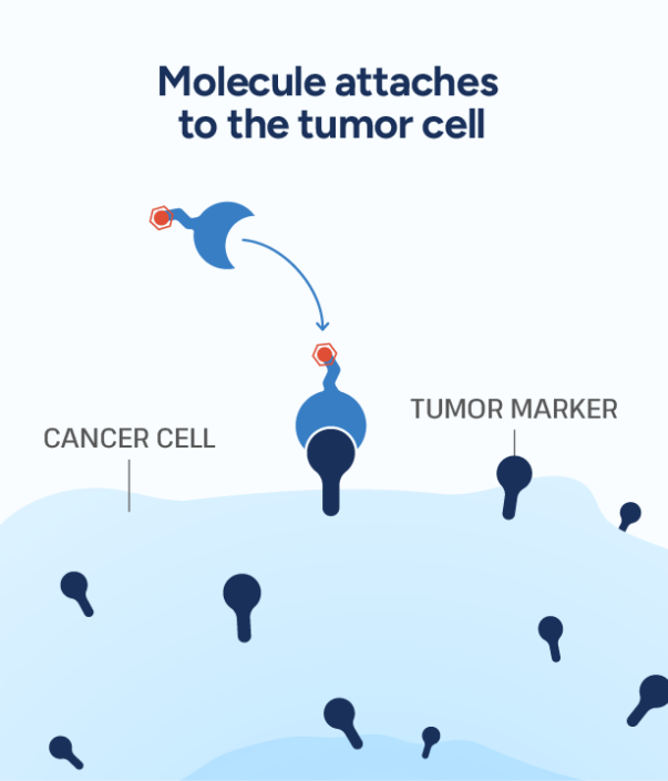 Alpha-9 Oncology | Radiopharmaceuticals | Cancer Therapy